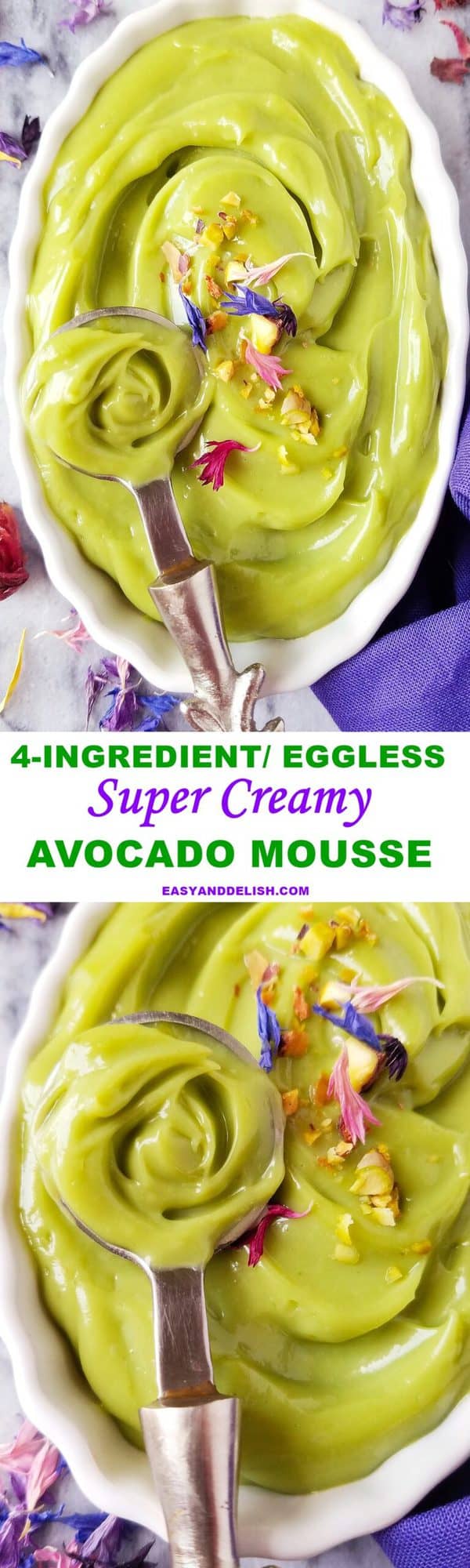 Avocado Mousse Recipe