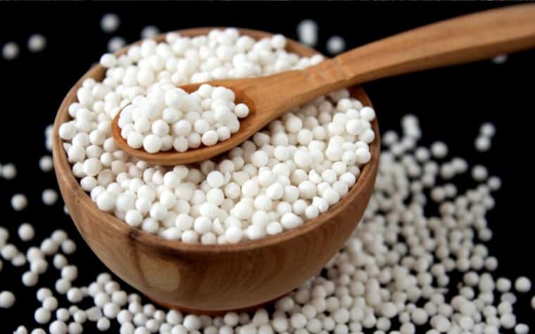 Tipos de Tapioca - Easy and Delish