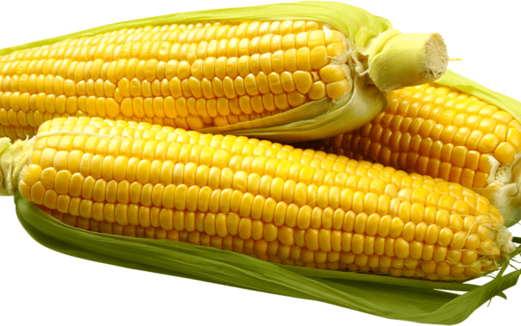 15 Receitas com Milho